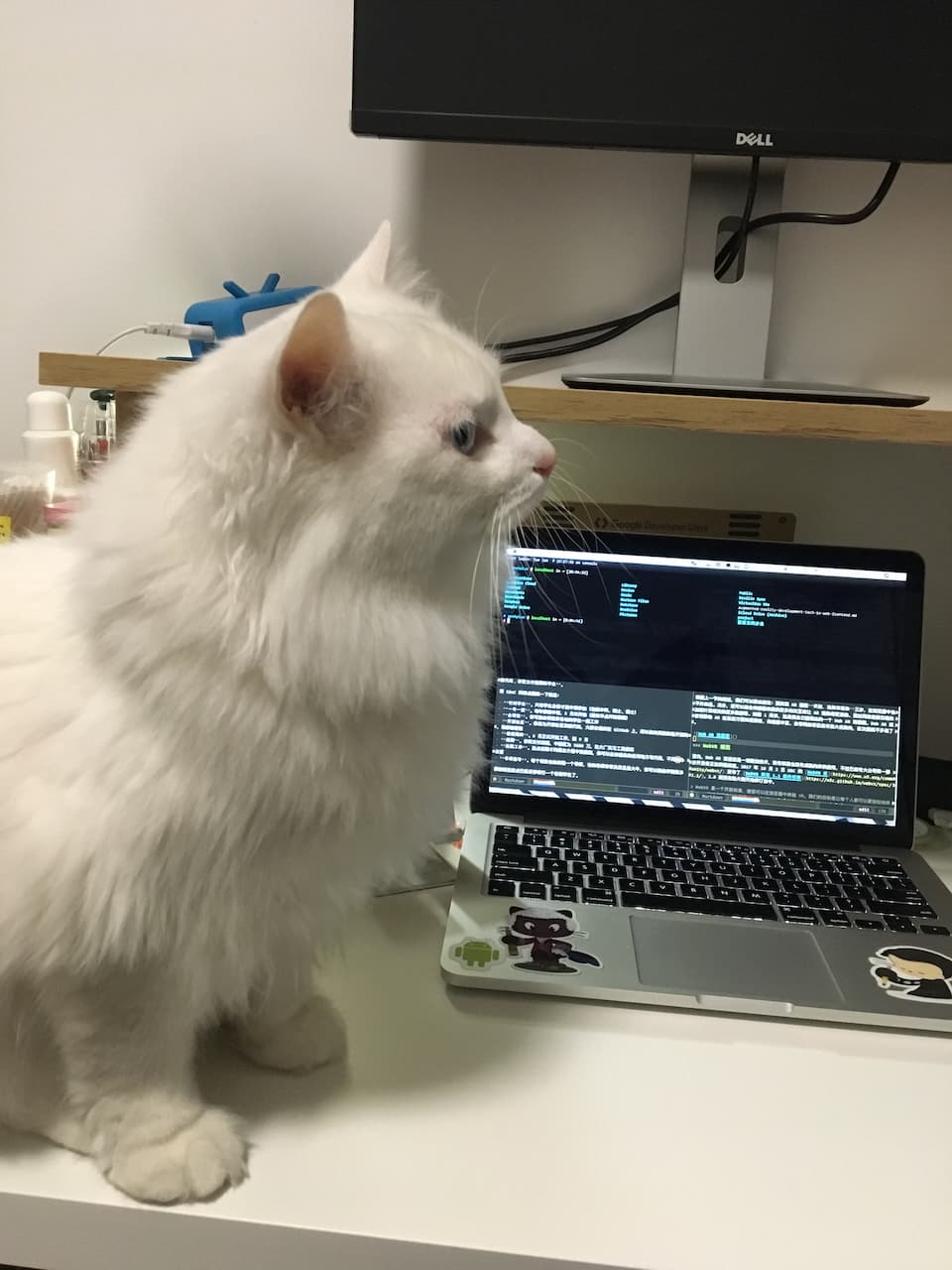 我的 Workspaces 十年进化史 - GeekPlux