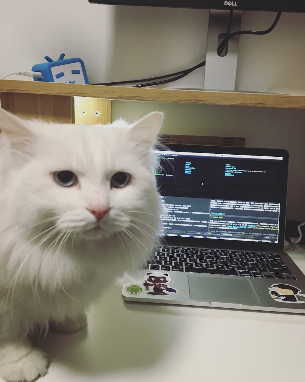 我的 Workspaces 十年进化史 - GeekPlux